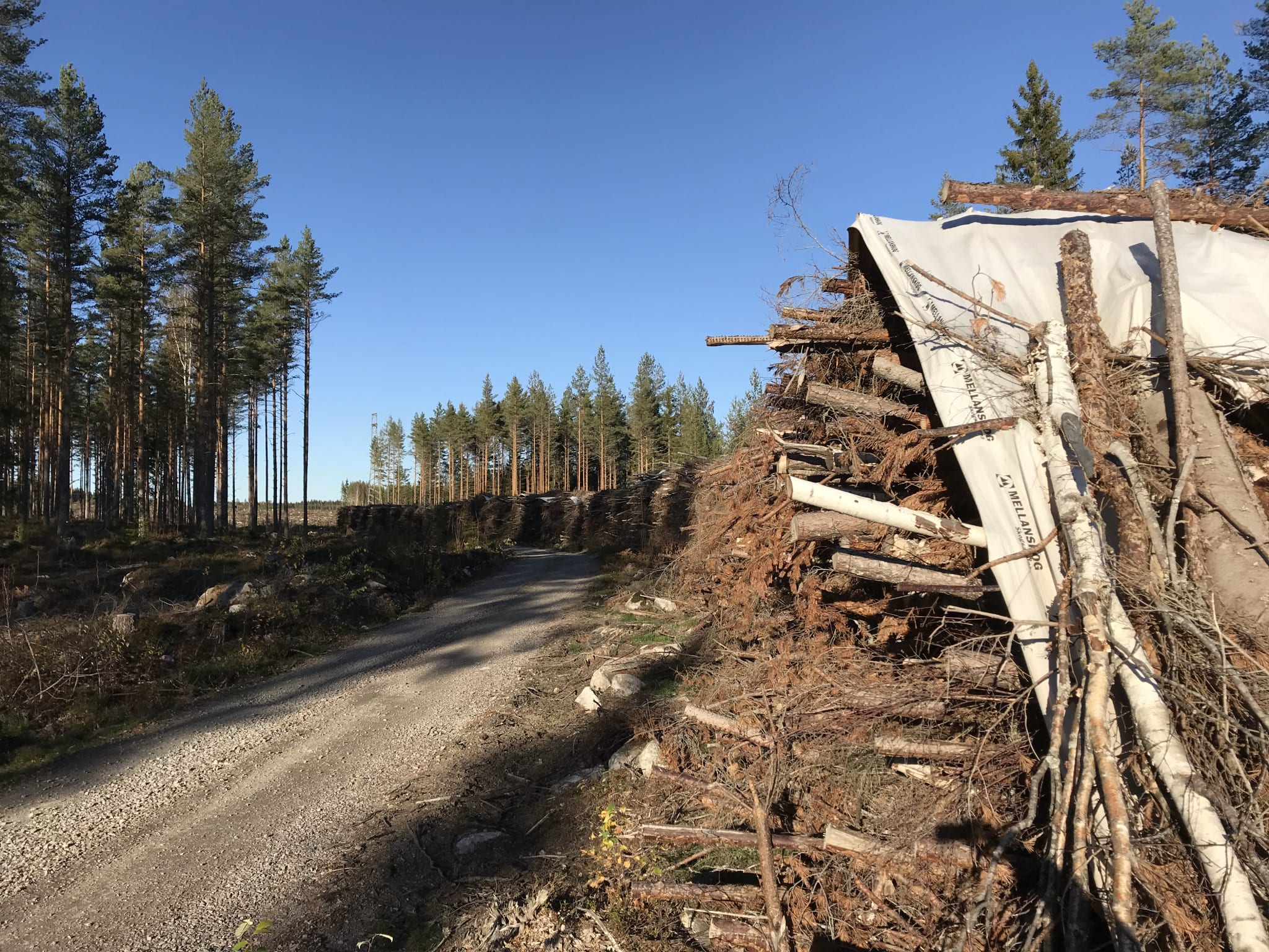 Grot och rundvedsflis | Mellanskog
