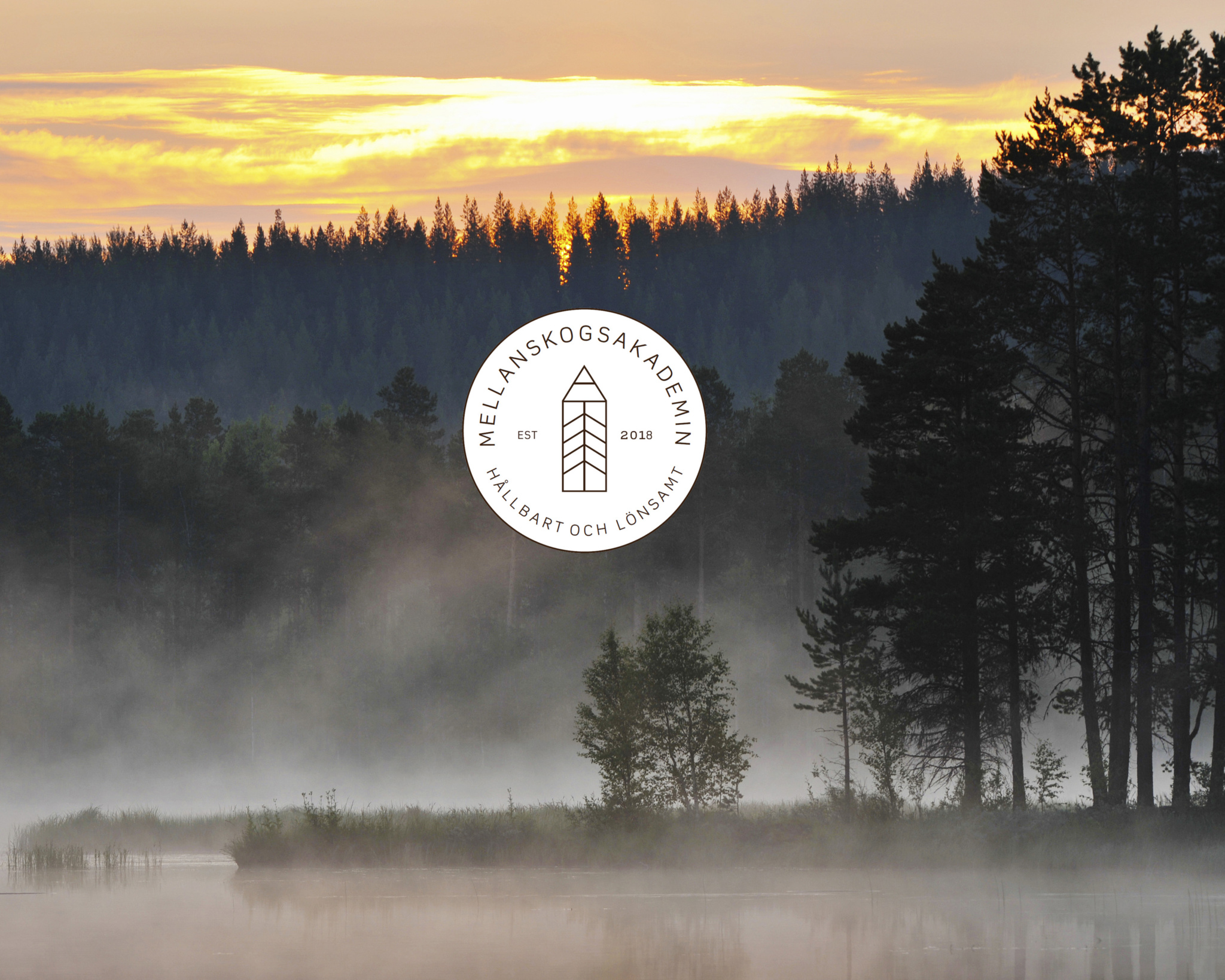 Mellanskogsakademin: Det är kul att äga skog! | Mellanskog